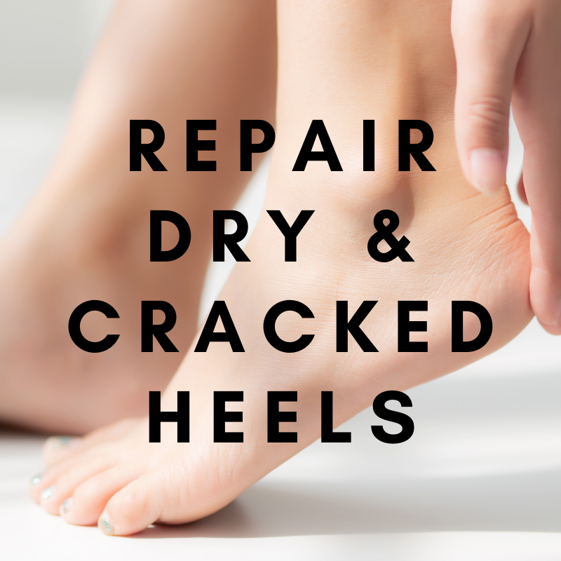 Shea & Moringa Balm – True Moringa