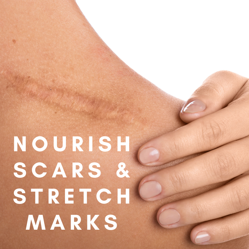 Shea & Moringa Balm – True Moringa