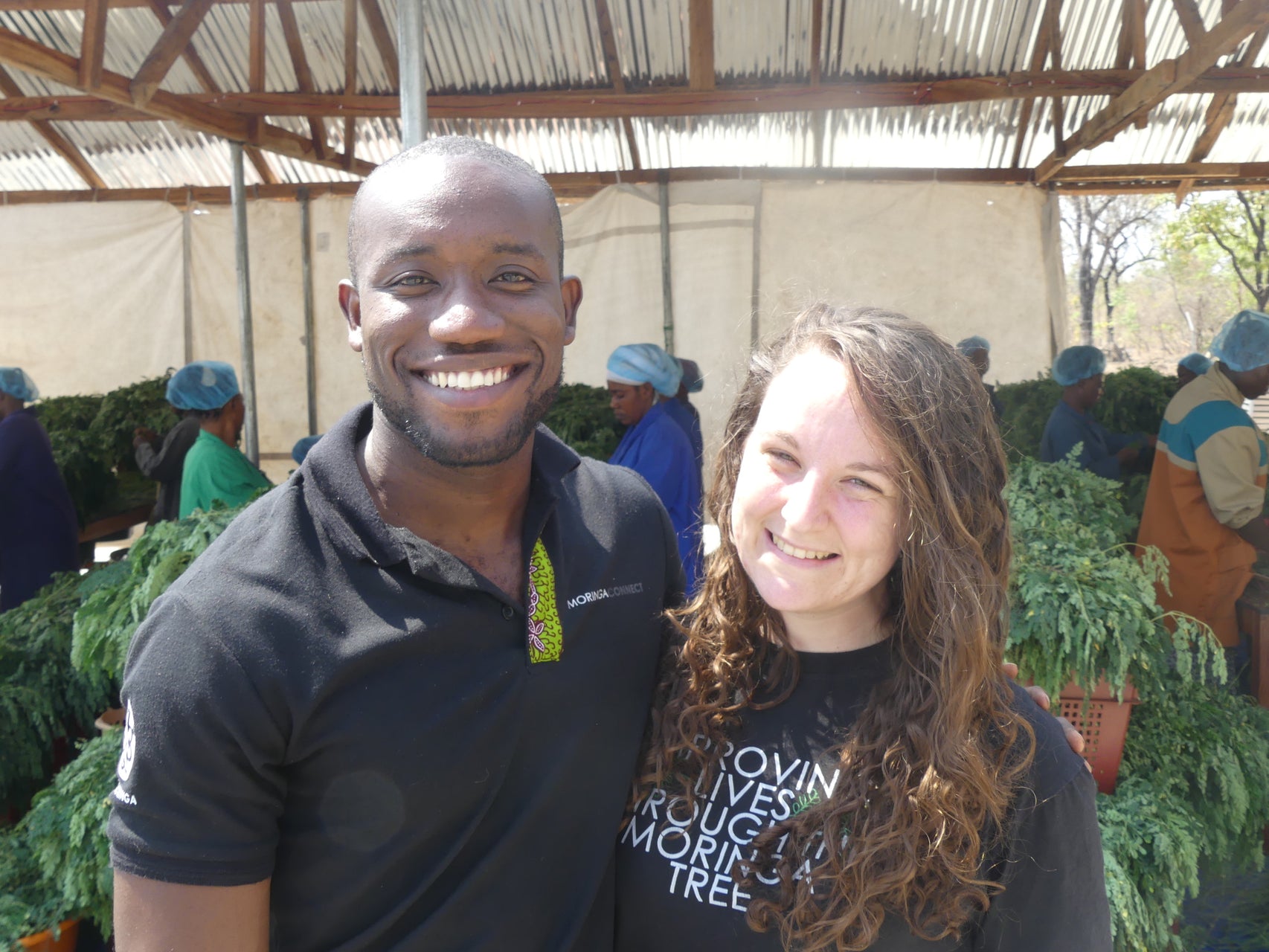 THE TRUE MORINGA STORY – True Moringa